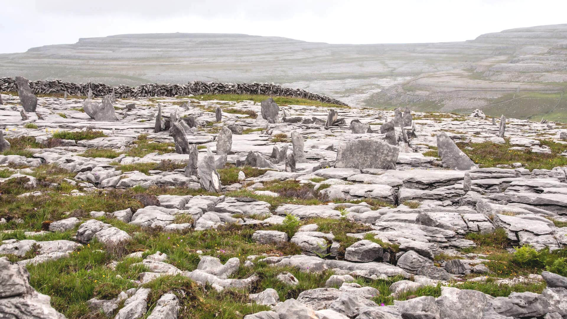 Wandern Irland, Burren Way & Cliffs of Moher Wanderreise, Burren Cliffs ...