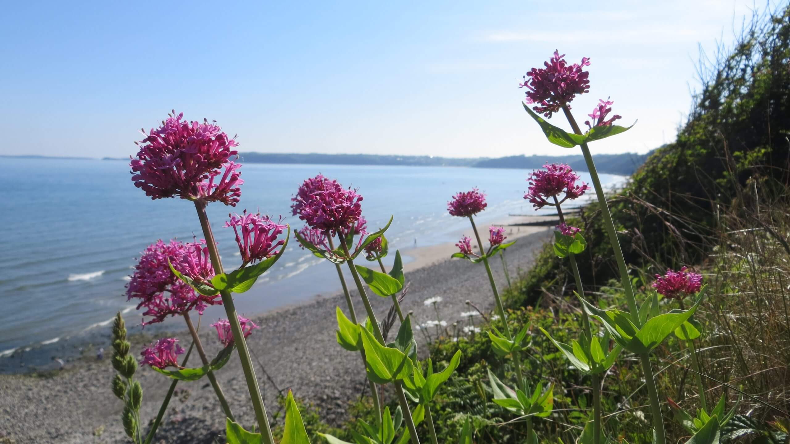 Our favorite summer walk: 5 summer walks - Hillwalk Tours Self-Guided ...