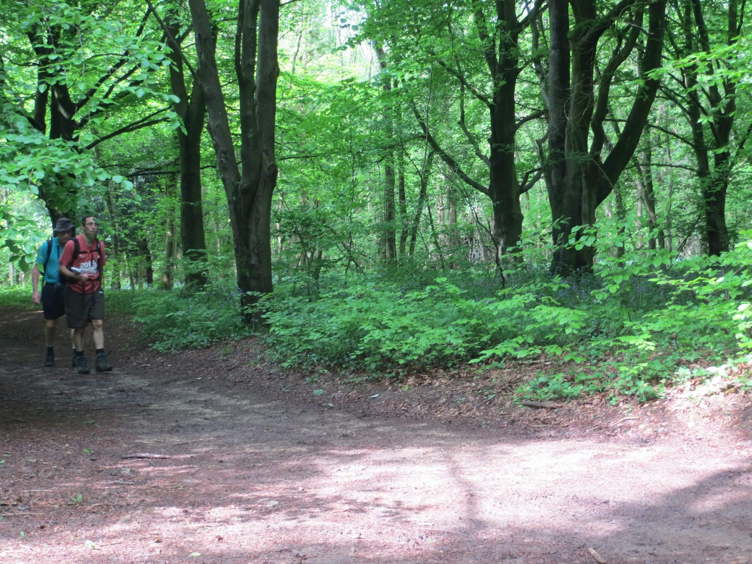 Cool down an overheated body quickly: hiking tips - Hillwalk Tours Self ...